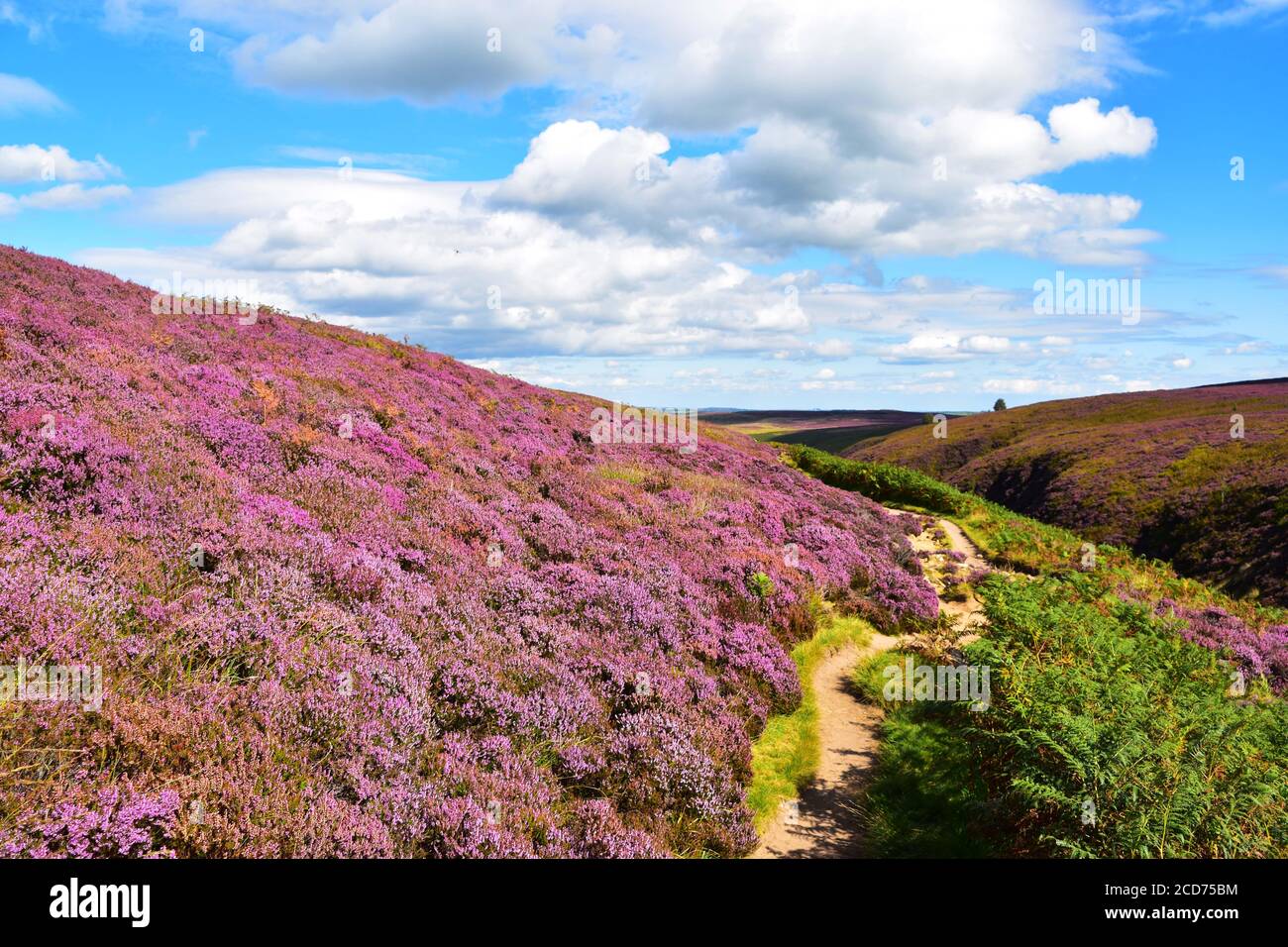 Wuthering Heights, Bronte Country, Haworth Stock Photo - Alamy