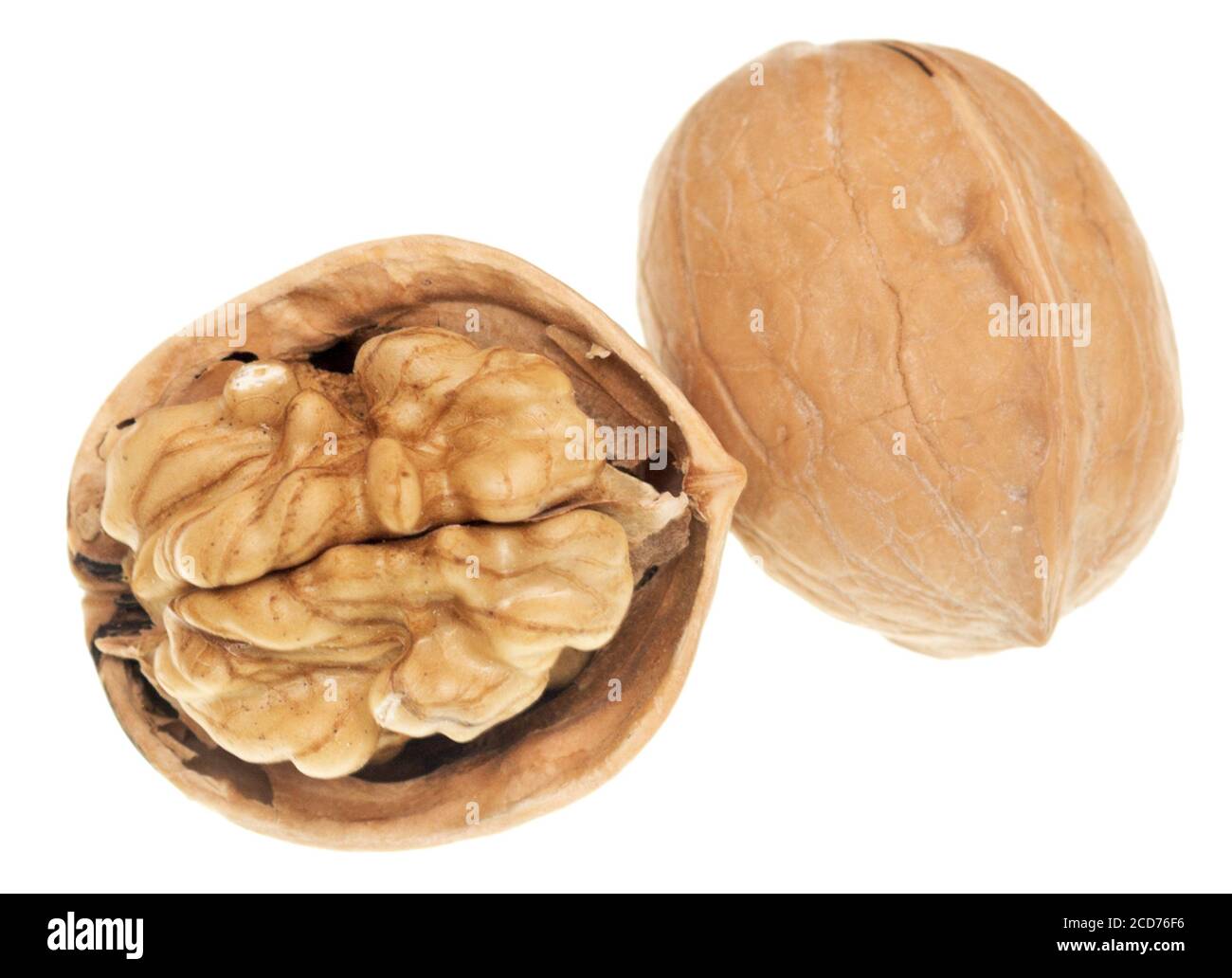 Walnut isolated on white background Stock Photo - Alamy