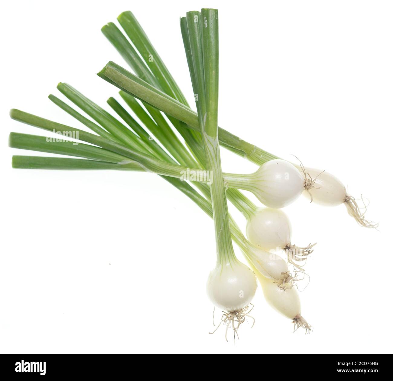 Green onion isolated on white background Stock Photo - Alamy