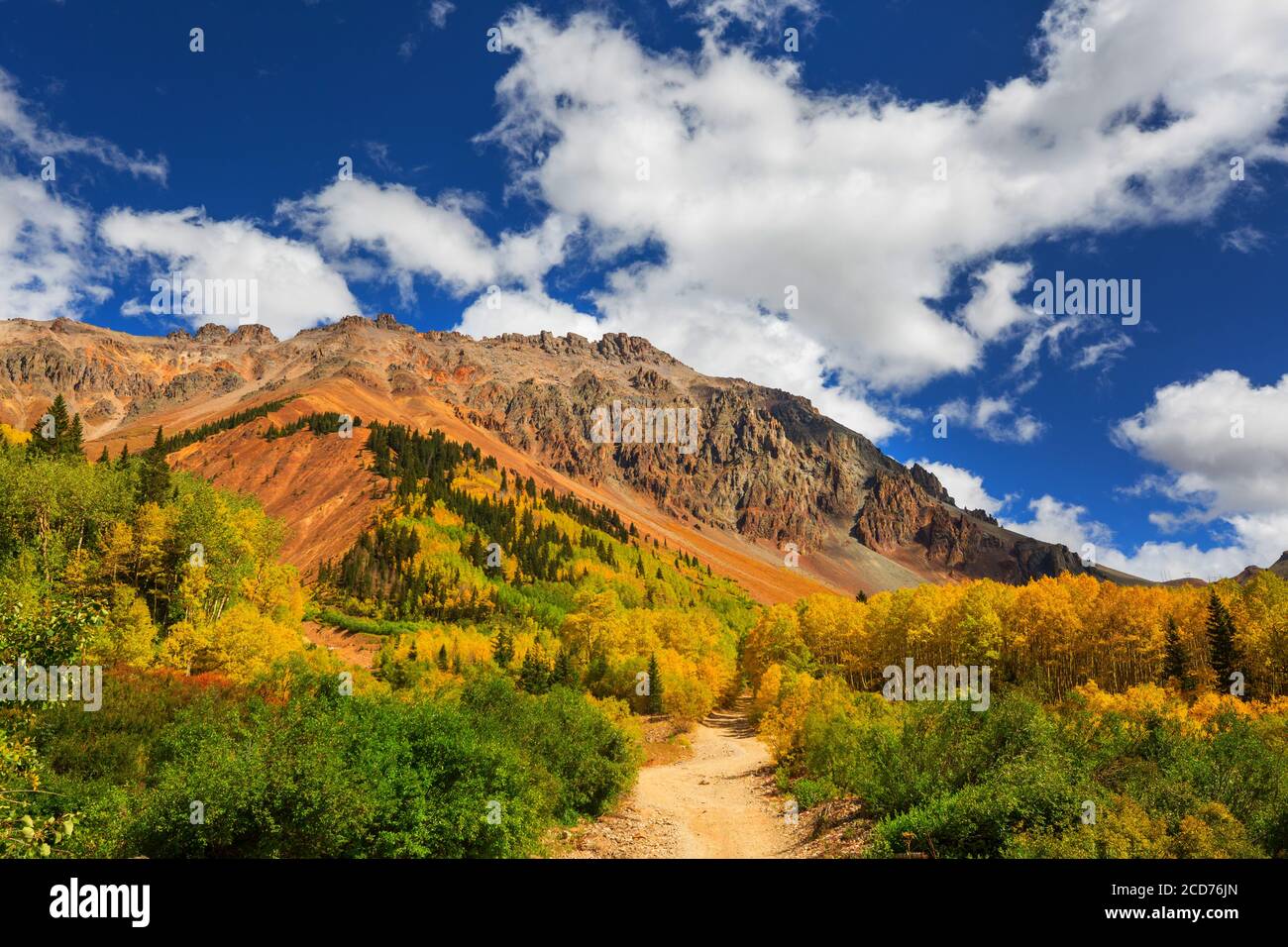 Colorful yellow autumn in Colorado, United States. Fall season Stock ...
