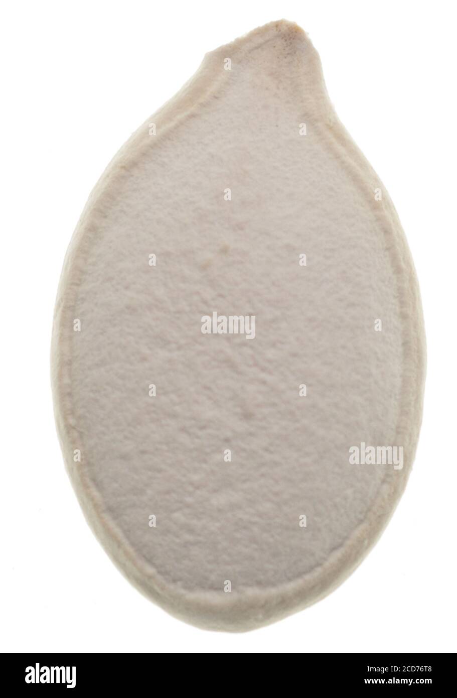 Pumkin seed hi-res stock photography and images - Alamy
