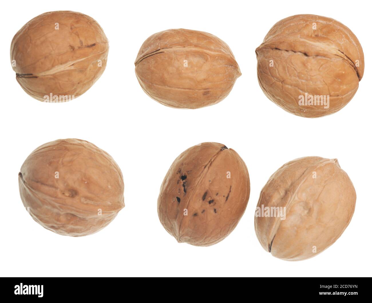Walnut isolated on white background Stock Photo - Alamy