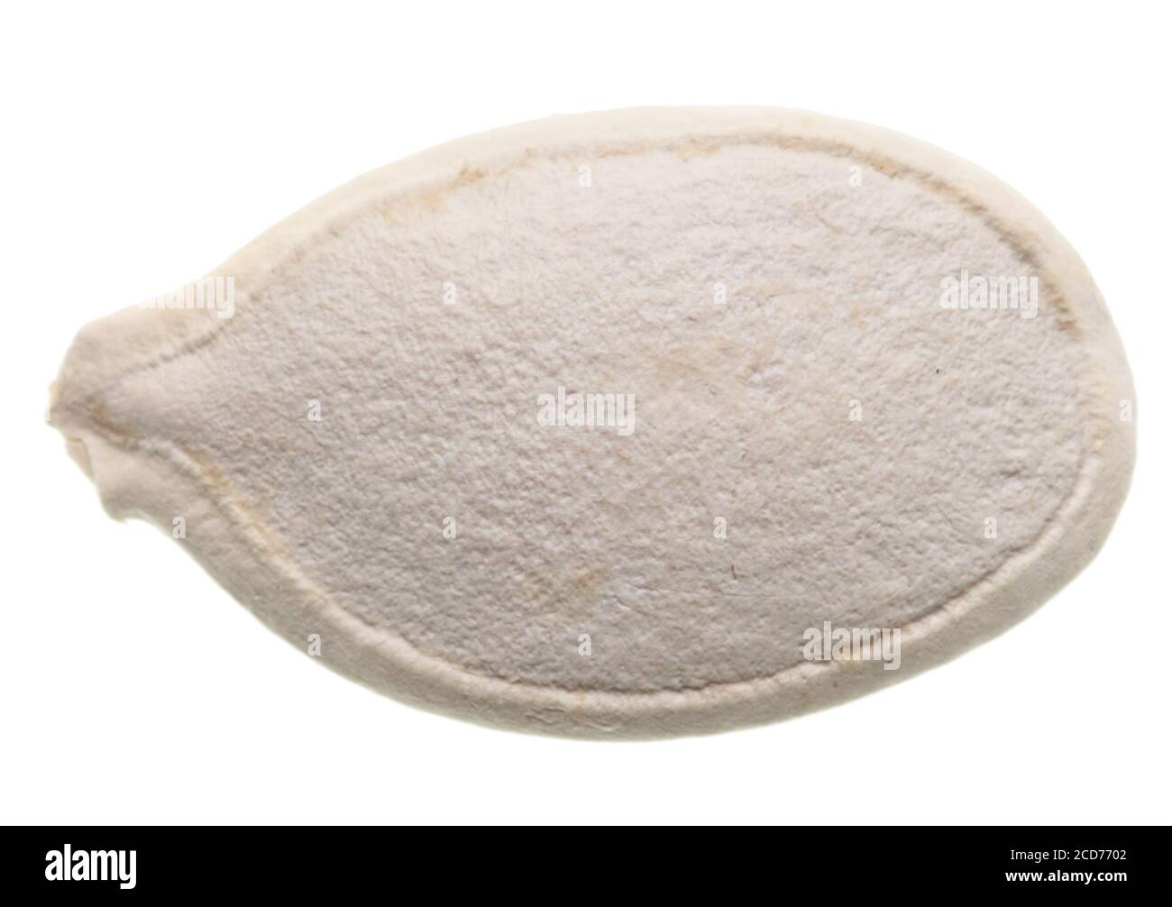 Pumkin seed isolated on white background Stock Photo - Alamy