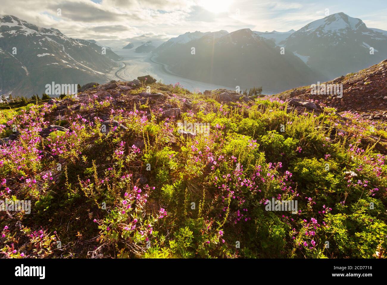 Salmon glacier in Stewart, Canada Stock Photo - Alamy