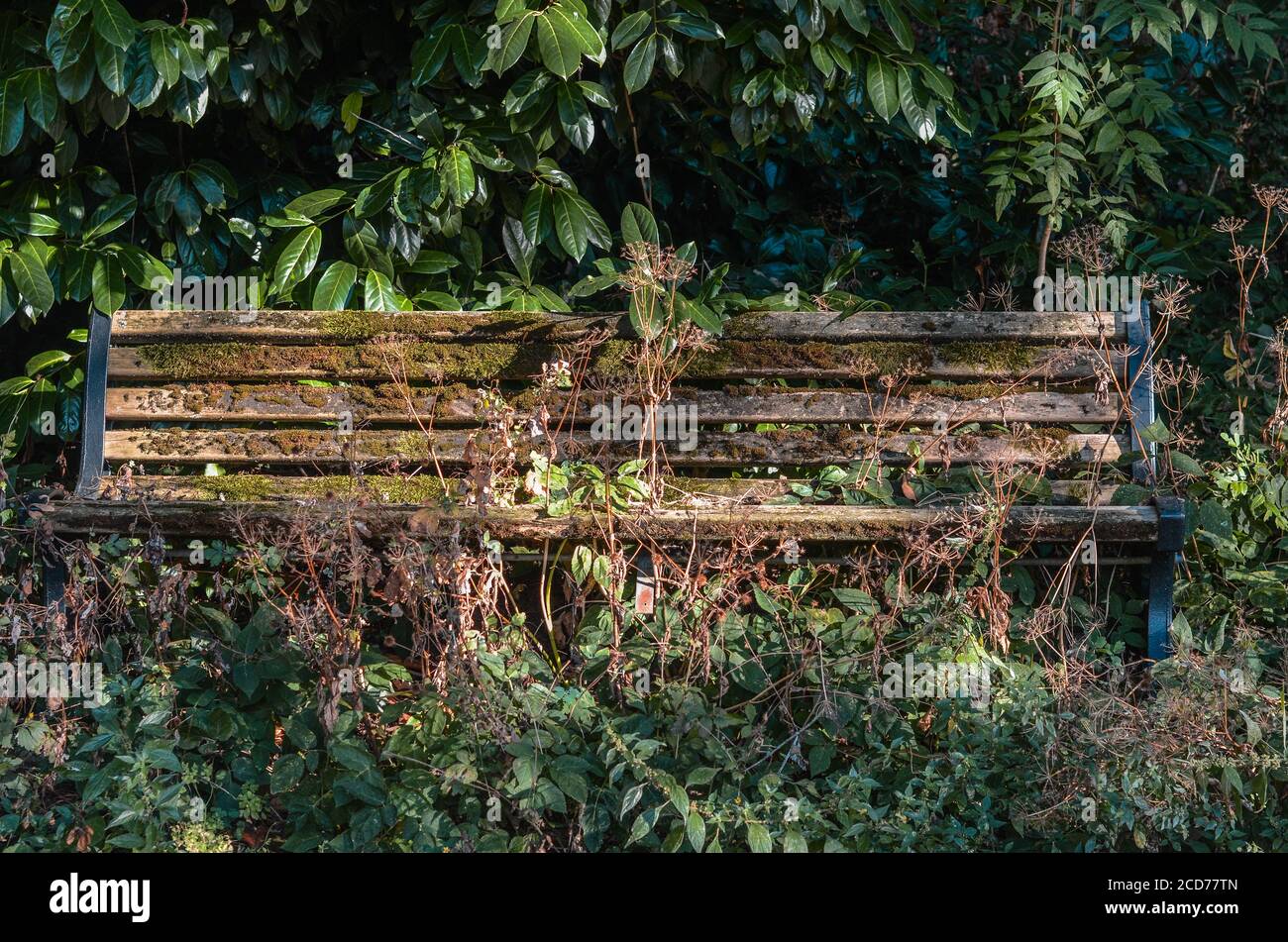 Abbandoned rusty old park bench Stock Photo - Alamy