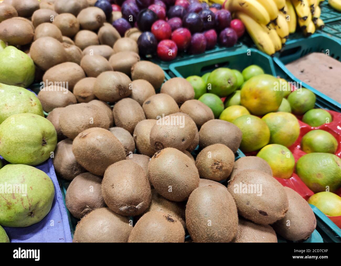 Tropic fruits in commercial supermarket gondola. Kiwis, pears, oranges ...