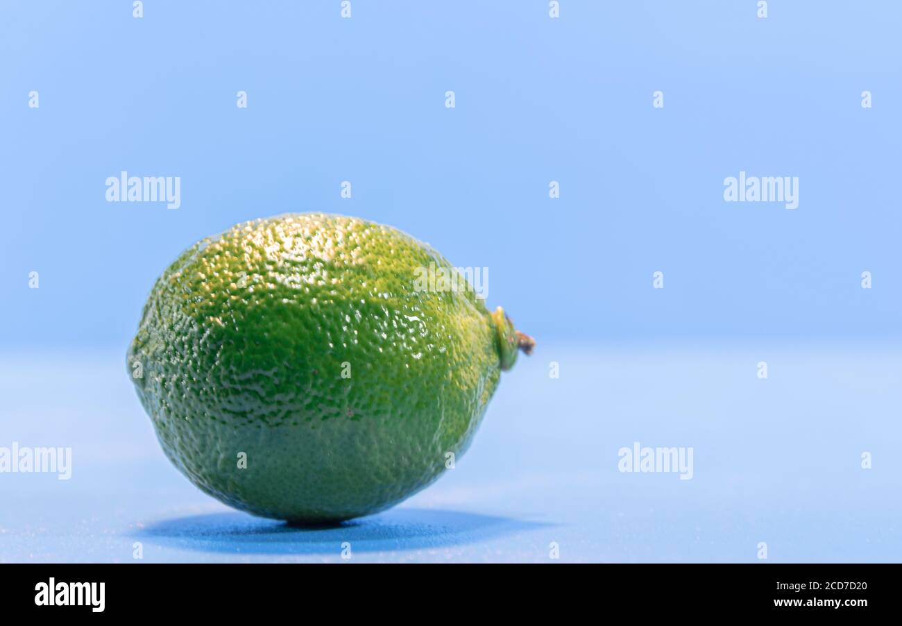 Tahiti lemon (Citrus × latifolia). Fresh fruits. Citrus × latifolia is ...