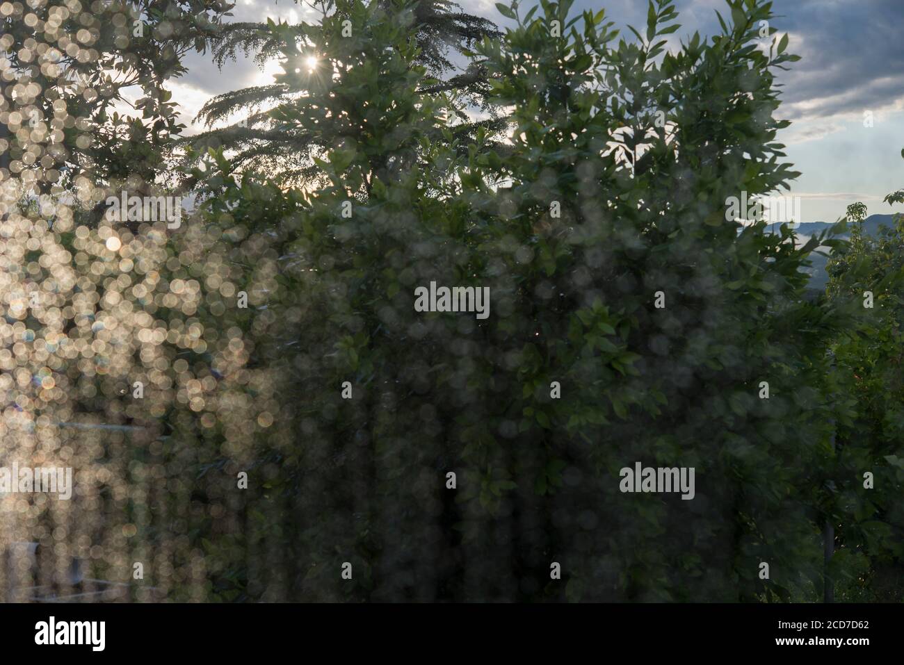 Spring from the house window Stock Photo - Alamy