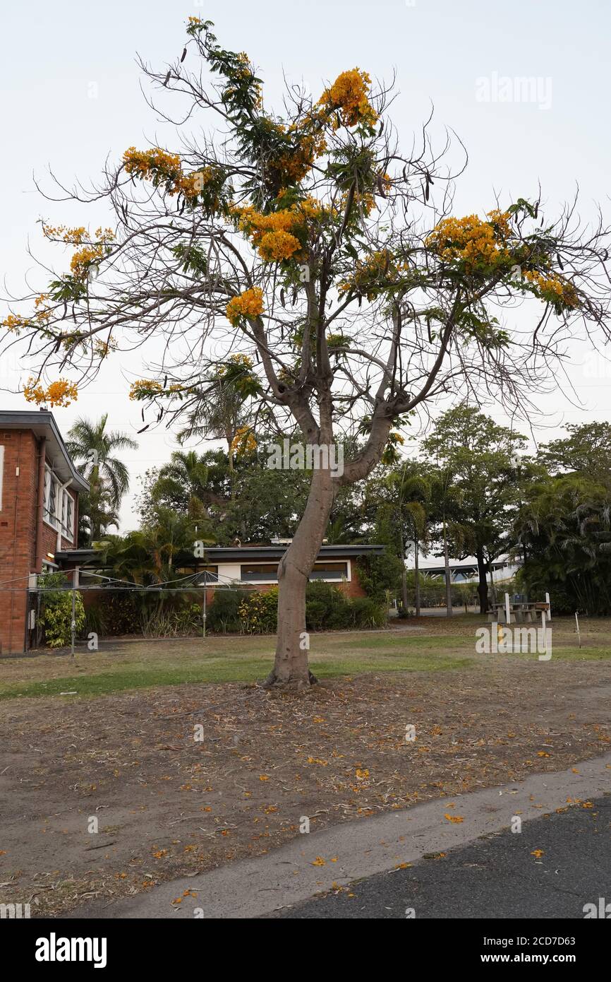 Rural town in the gem fields of Rubyvale, Queensland, Australia Stock ...