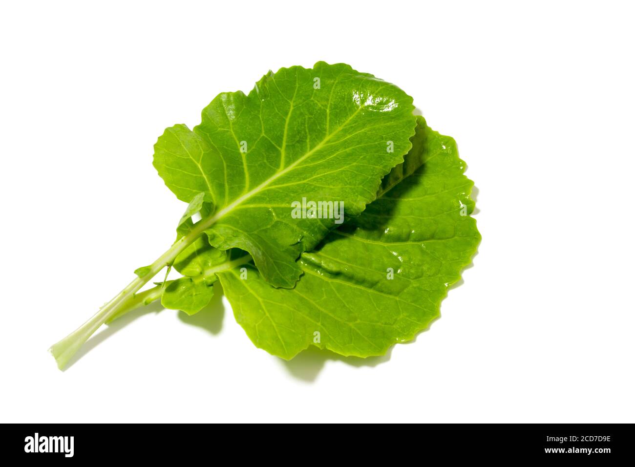 Soybean paste korean Cut Out Stock Images & Pictures - Alamy