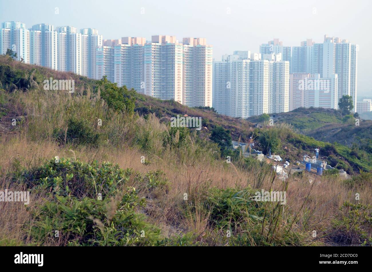 Tin yan estate hi-res stock photography and images - Alamy