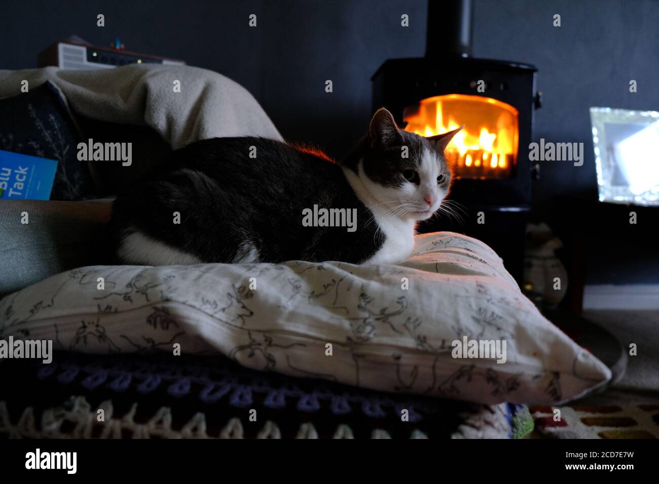 Cat resting next to log burning stove Stock Photo - Alamy