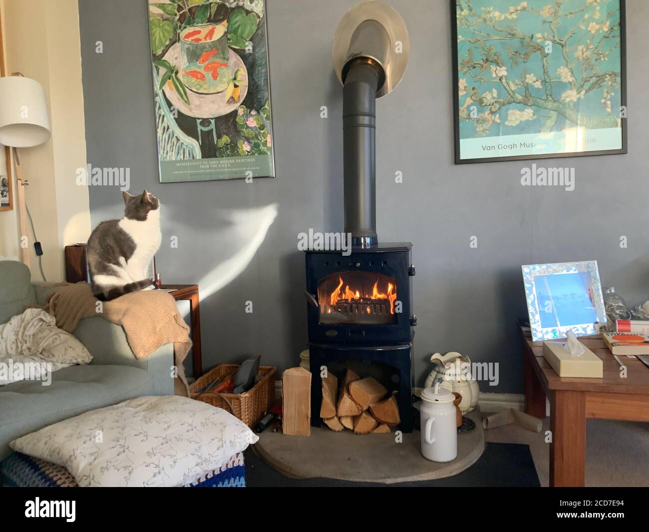 Cat in room with wood burning stove Stock Photo - Alamy