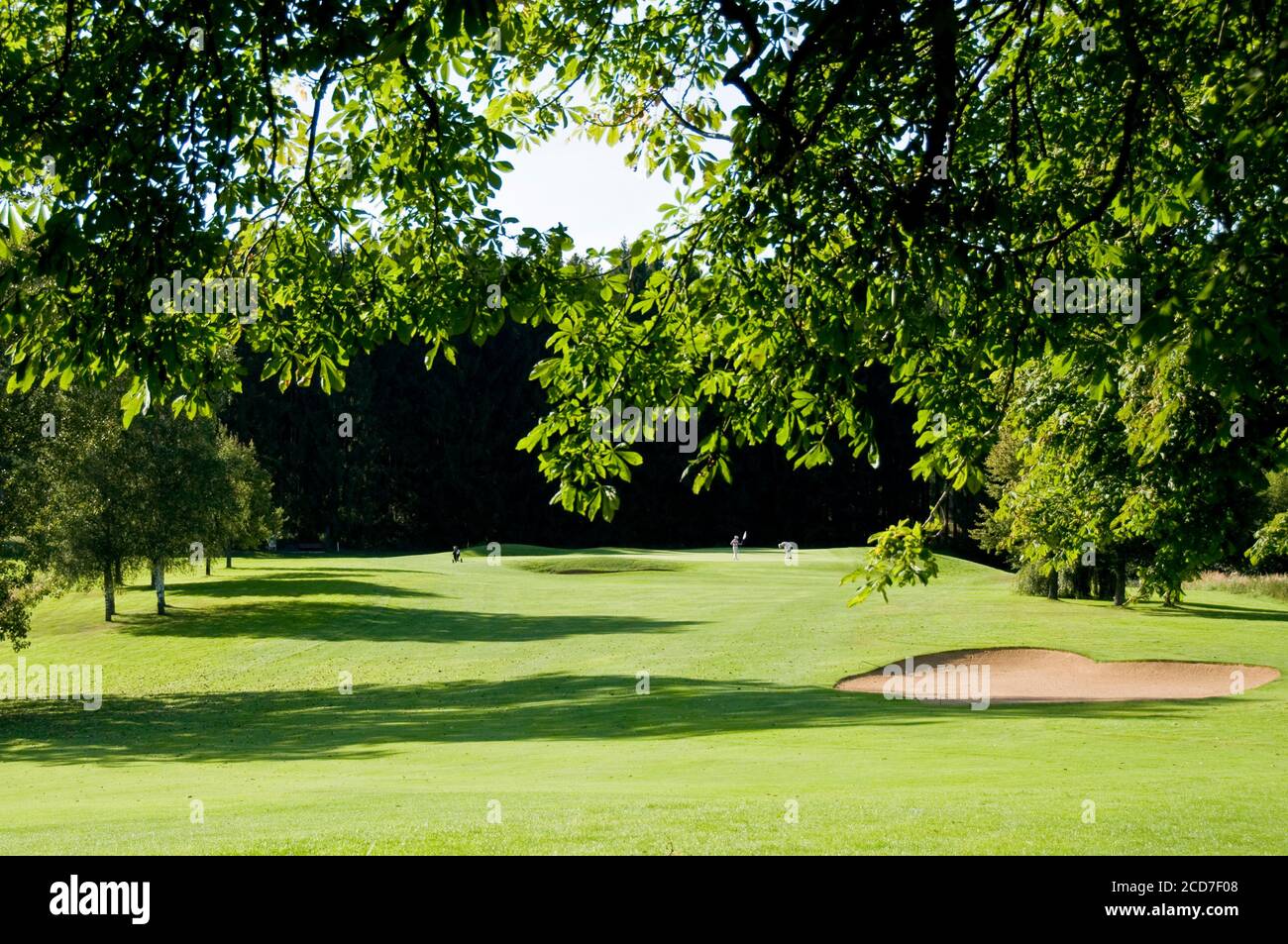 Country club in parkland hi-res stock photography and images - Alamy