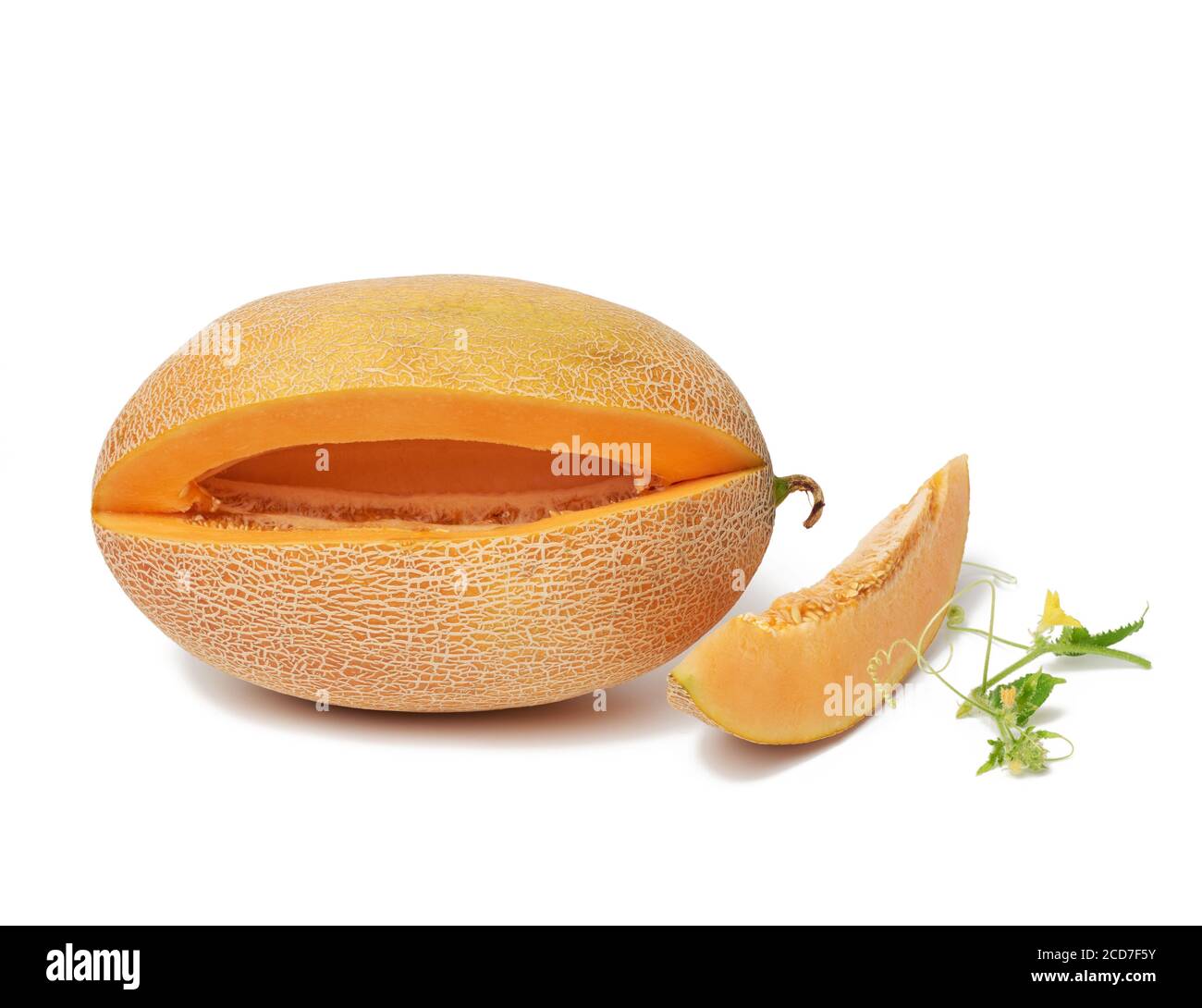 ripe juicy orange melon and cut piece with seeds, green shoot with ...