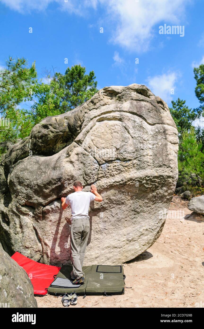 Sportsman bouldering at the rocks in the forests of Fontainebleau Stock ...