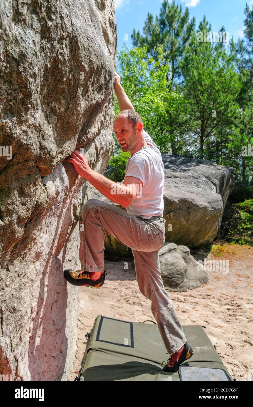 Sportsman bouldering at the rocks in the forests of Fontainebleau Stock ...