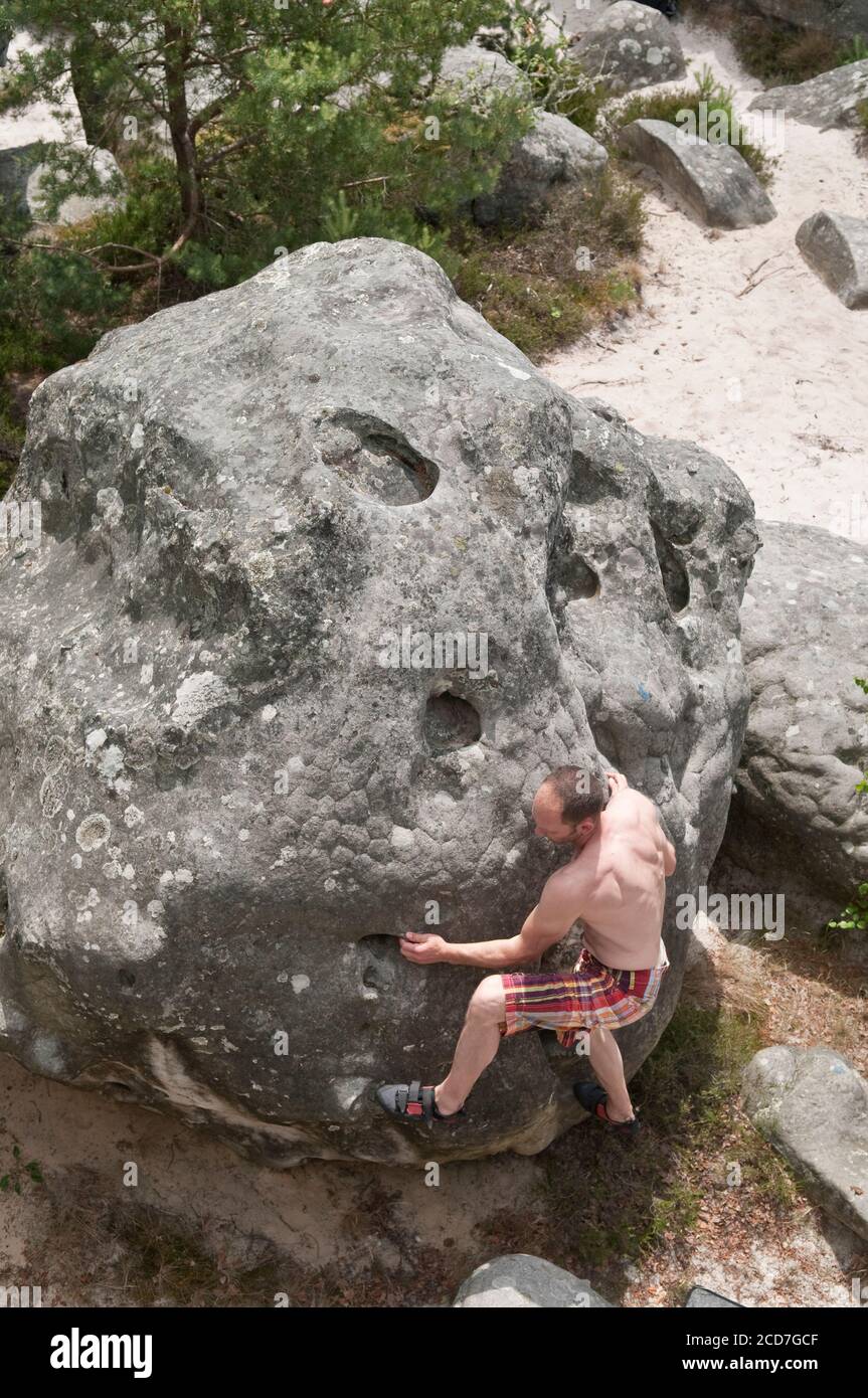 Sportsman bouldering at the rocks in the forests of Fontainebleau Stock ...