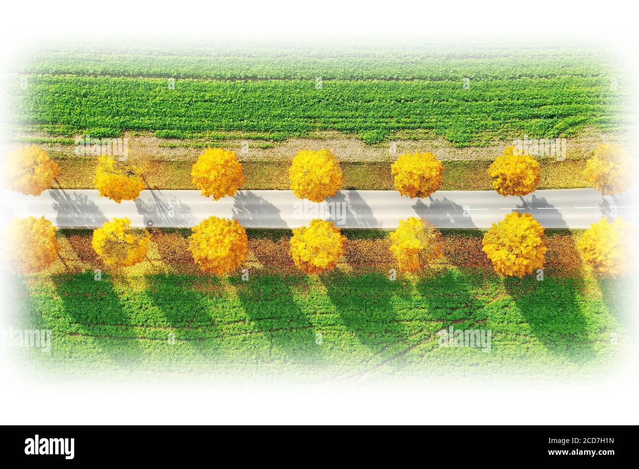 Road view from rural Cut Out Stock Images & Pictures - Alamy