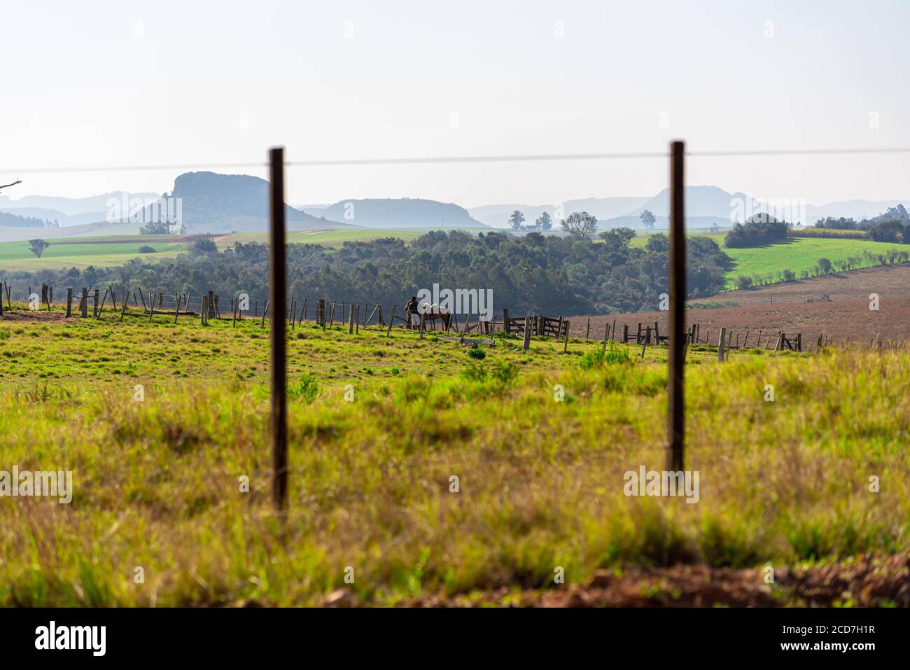 Rural landscape of the south american pampas on the borders of brazil ...