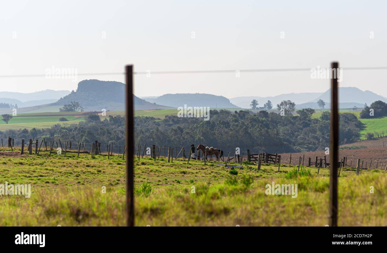 Rural landscape of the south american pampas on the borders of brazil ...