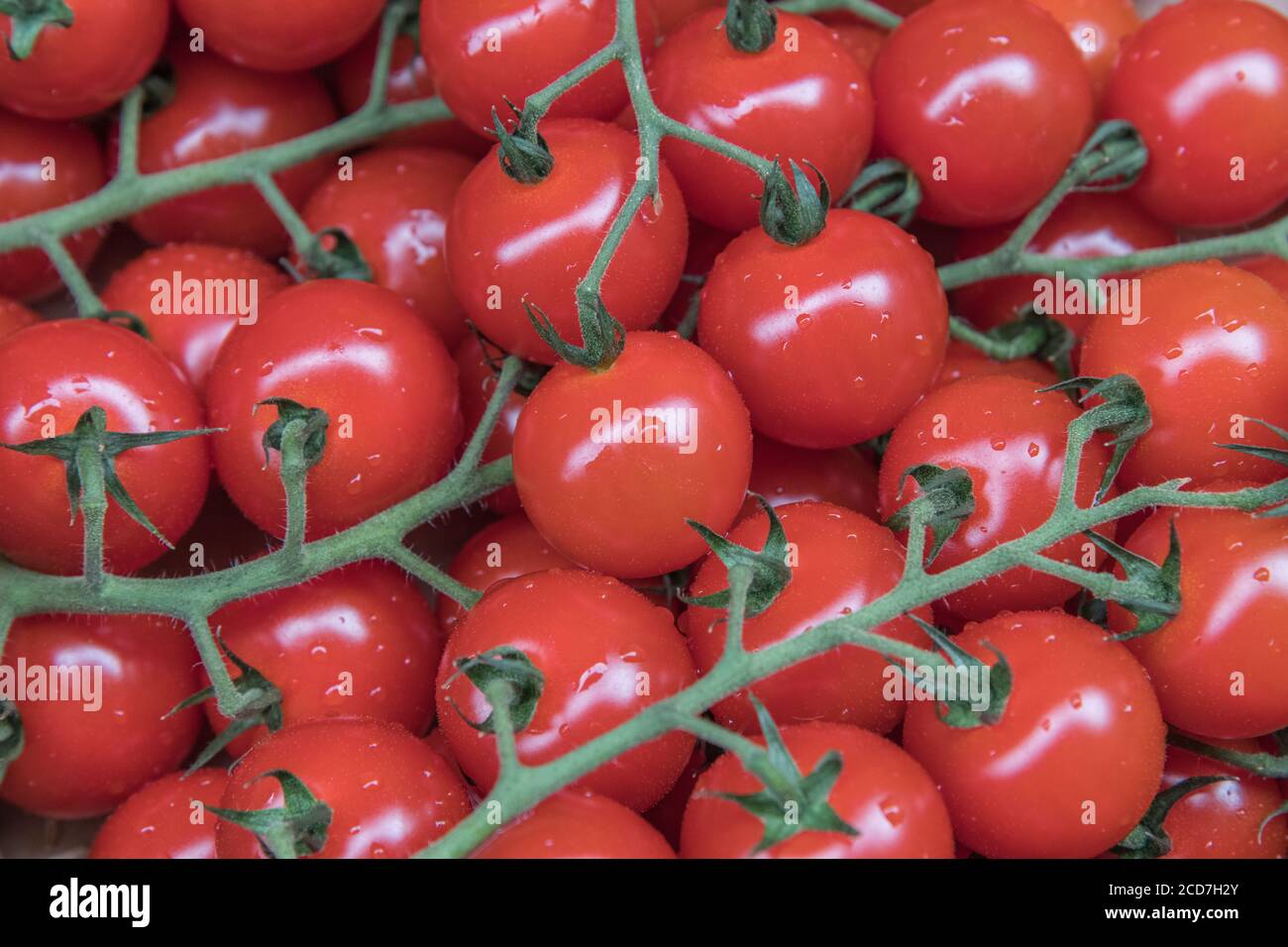 Types of vine hi-res stock photography and images - Alamy