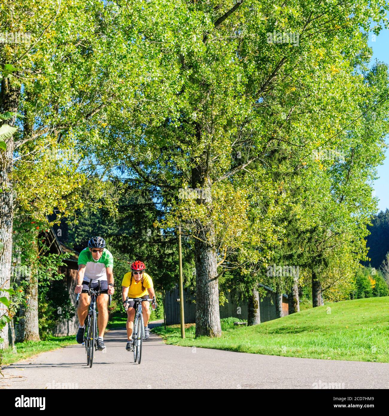 Cyclists in nature with race bike Stock Photo - Alamy