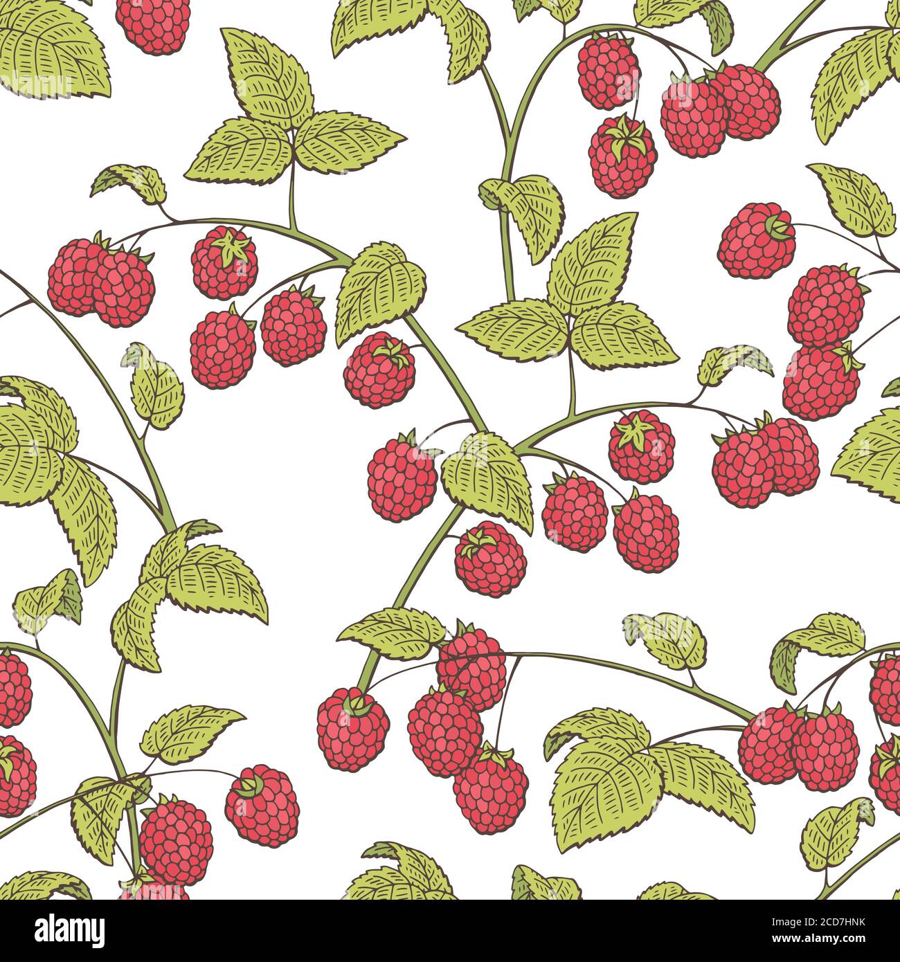 Raspberry graphic red green color seamless pattern sketch illustration ...