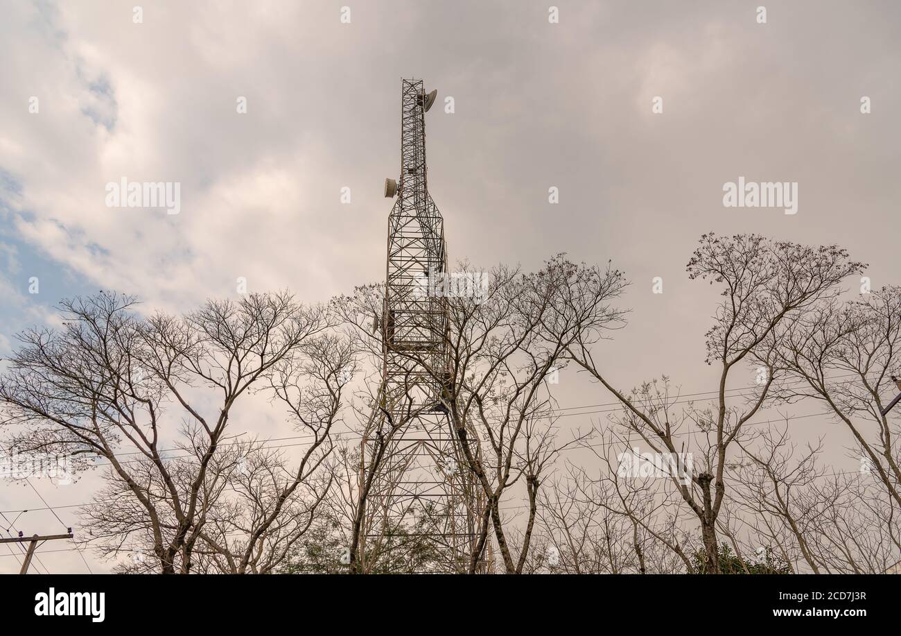 A cell phone communication tower and several trees around it. Data ...