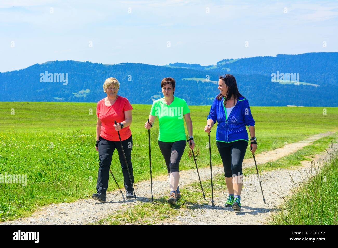 Good-humoured women doing a nordic walking execise in idyllic nature in ...