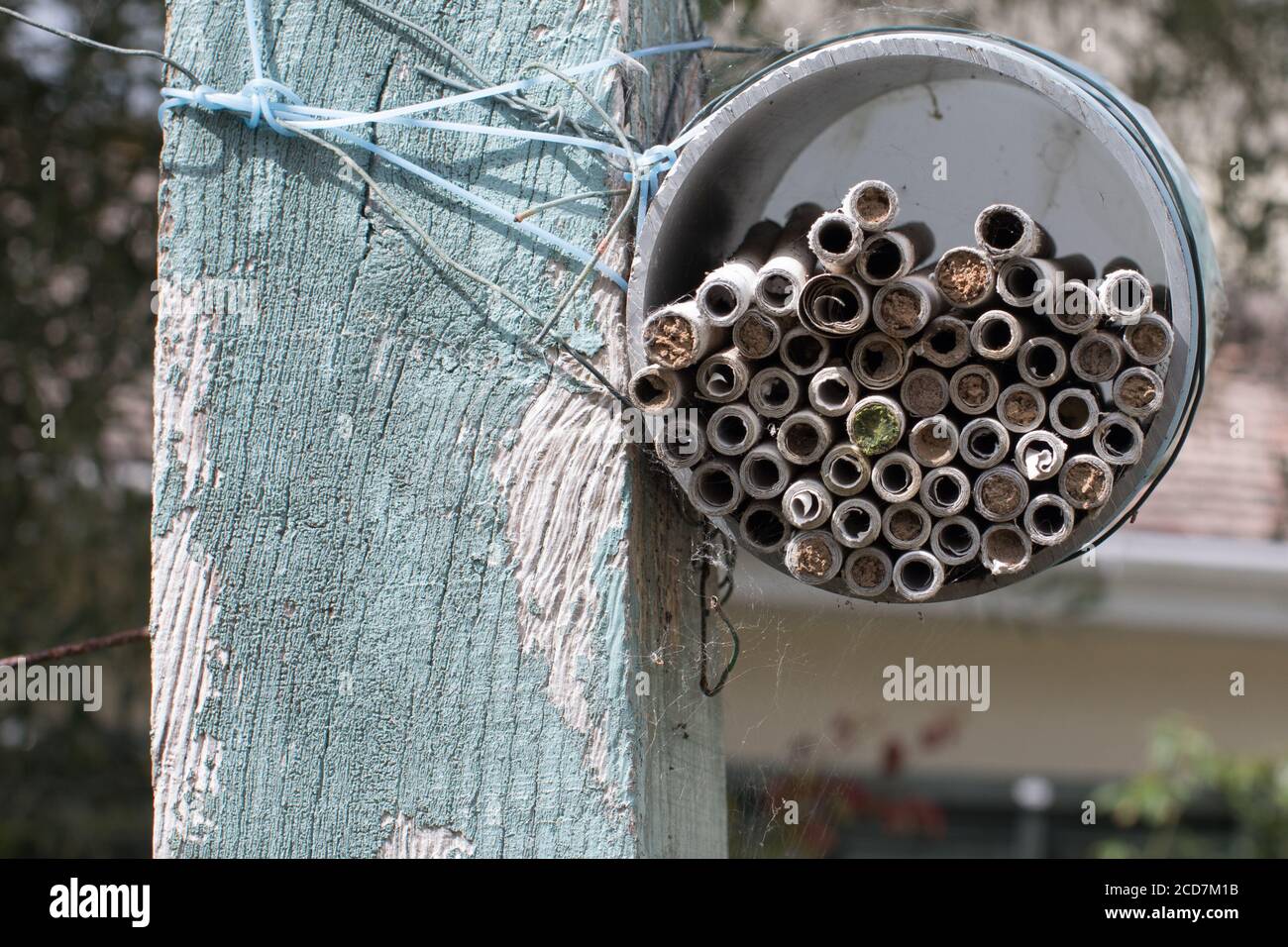 Pipe containing bee tubes Stock Photo - Alamy