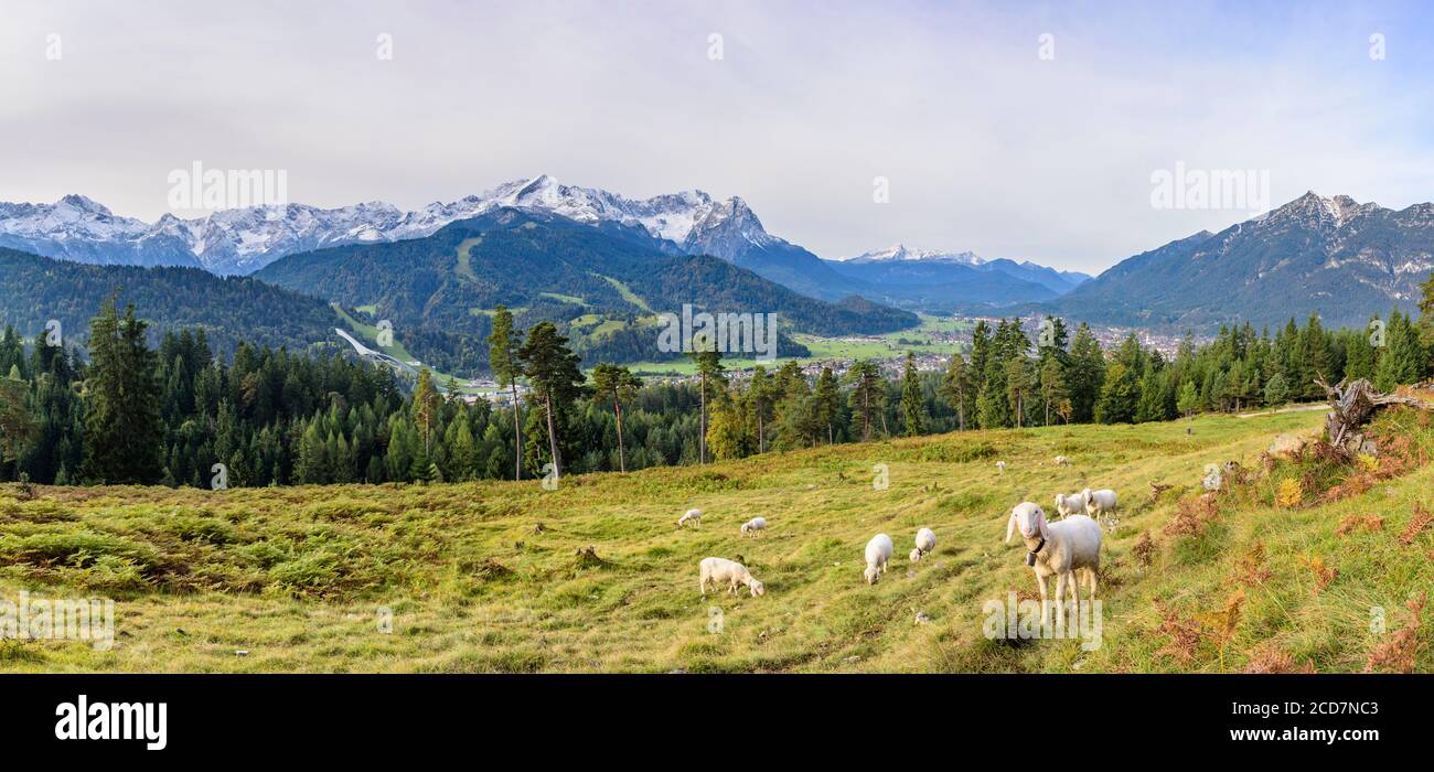 Falltime morning in upper bavarian alps with snow-covered mountains ...