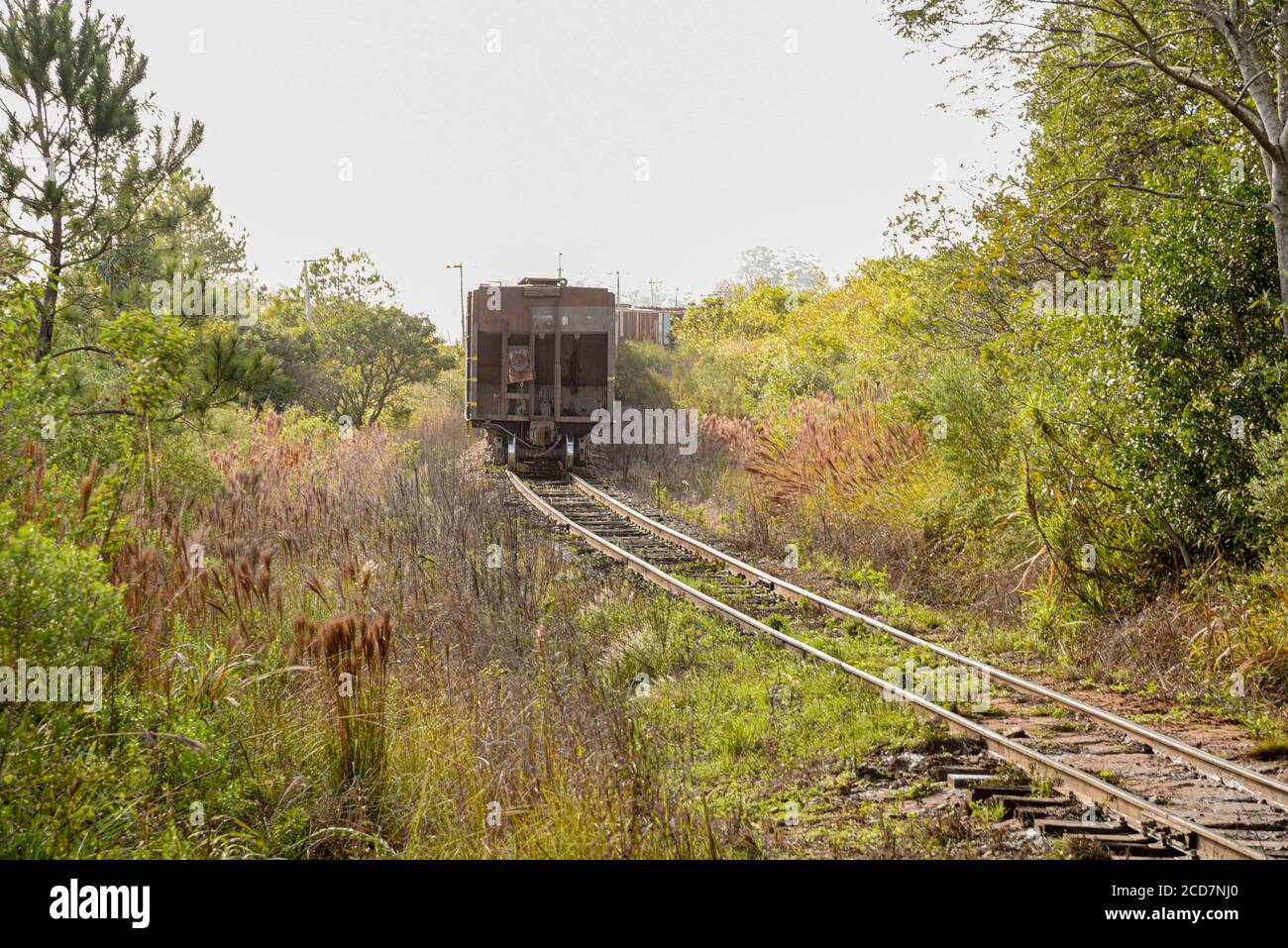 Freight train in motion. A train or train is a railway transport that ...