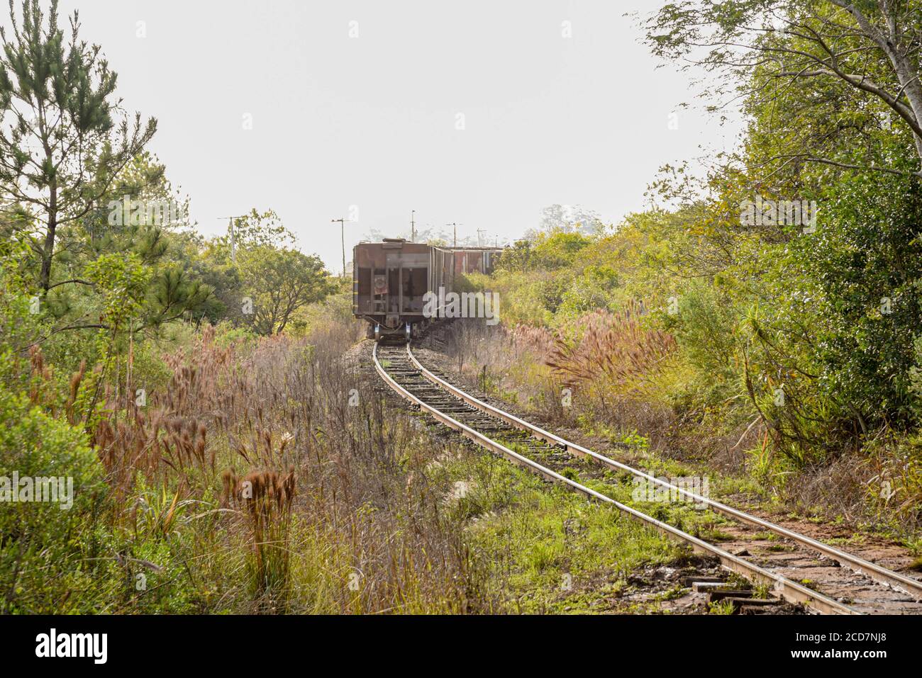 Freight train in motion. A train or train is a railway transport that ...