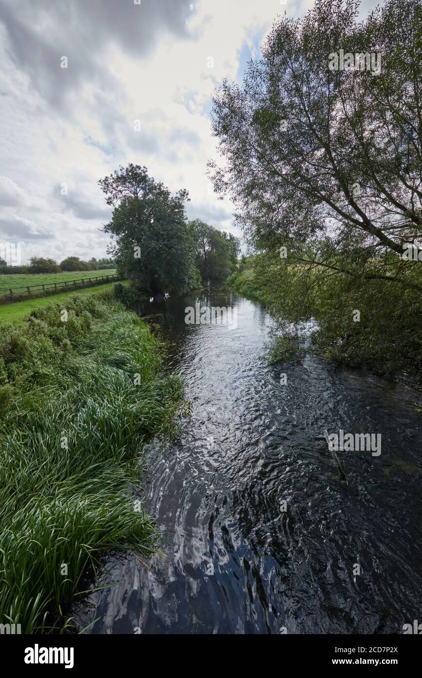 West Beck Chalk trout fishing stream in full flow. in East Yorkshire ...