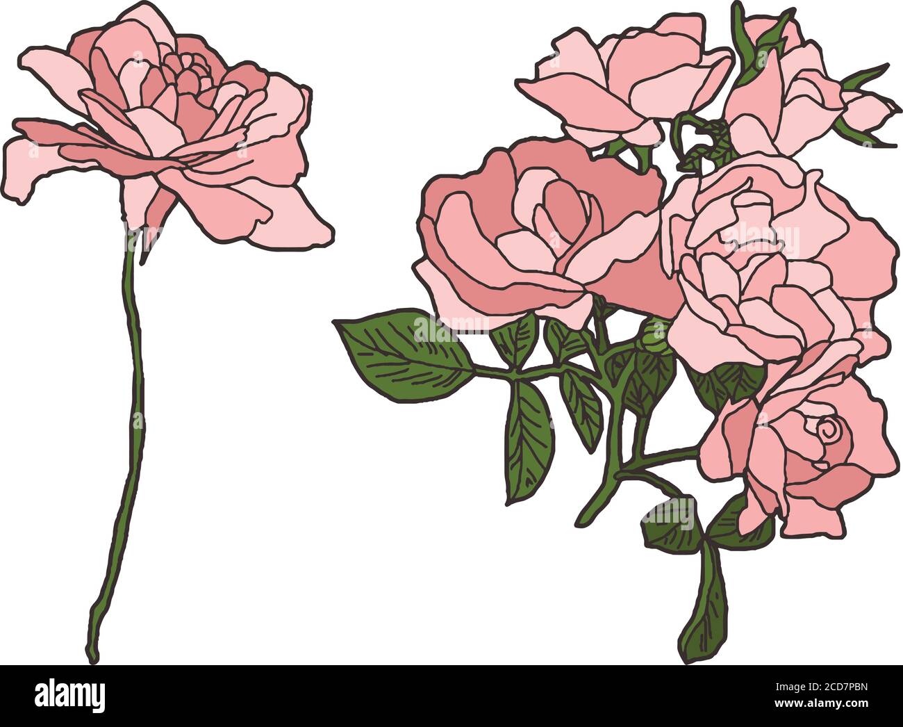 Pink Plant Stock Vector Images - Alamy