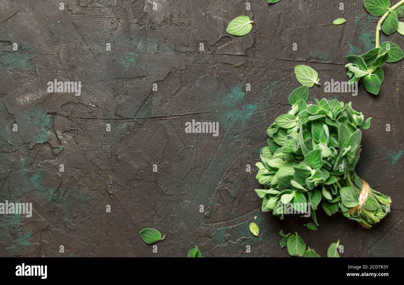 Fresh green oregano or Origanum vulgare in a beam, brown background ...