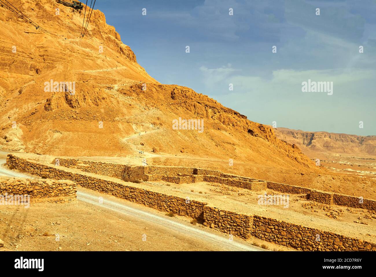 Arabian sea snake hi-res stock photography and images - Alamy