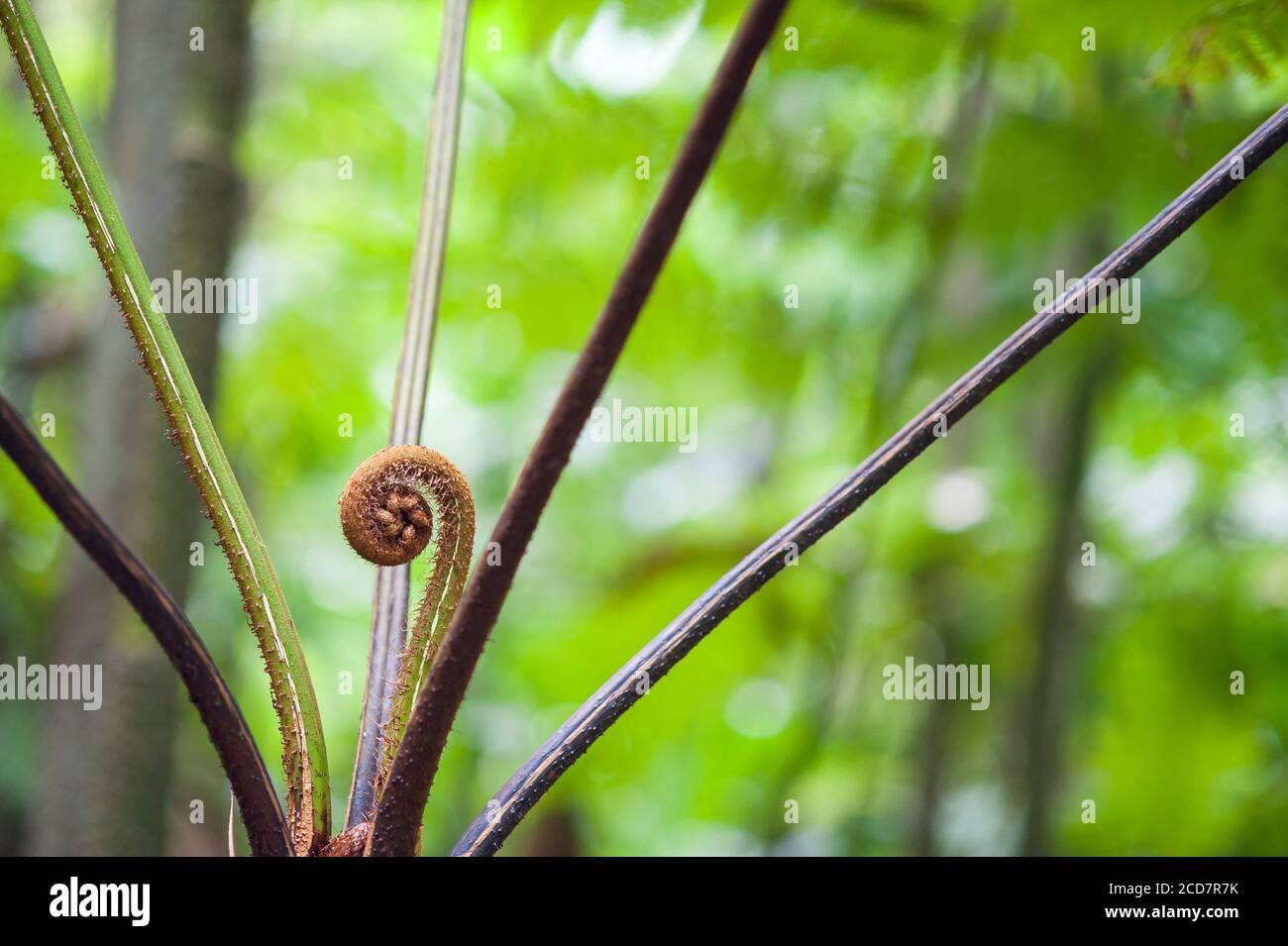 Unfolding High Resolution Stock Photography and Images - Alamy