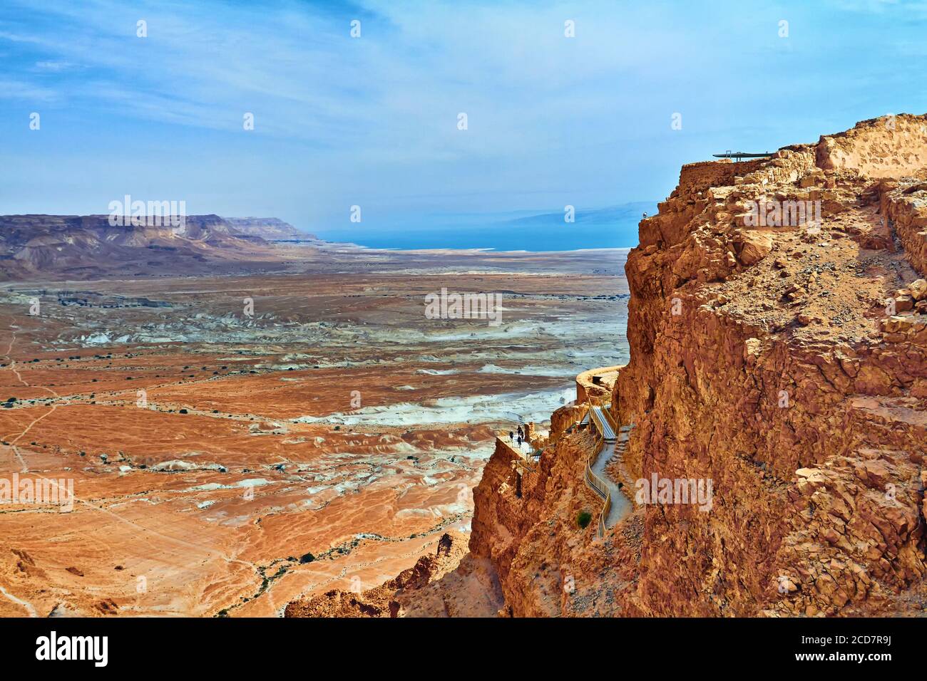 Arabian sea snake hi-res stock photography and images - Alamy