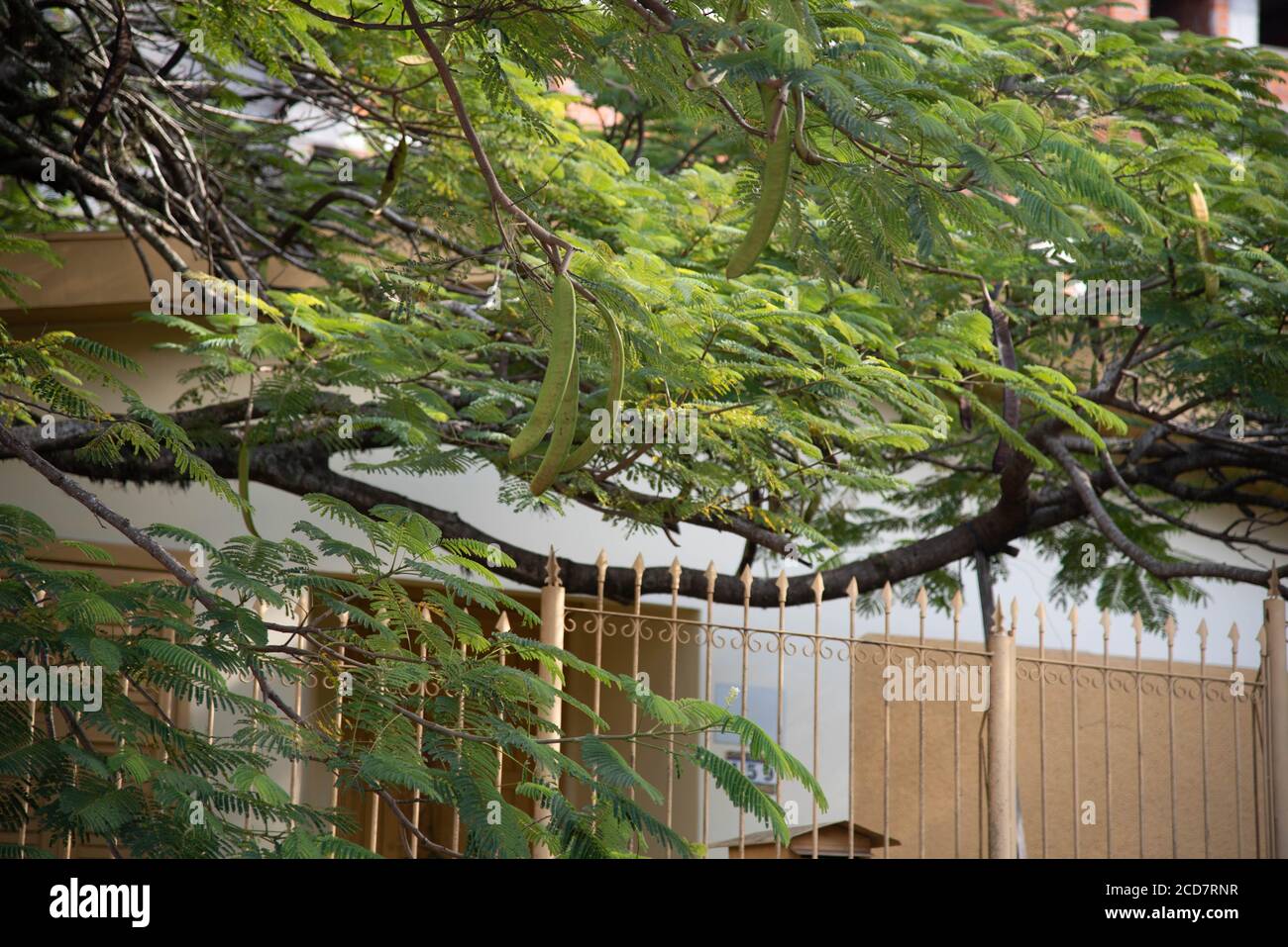 Urban architecture. Architectural style. City of Southern Brazil. Urban ...