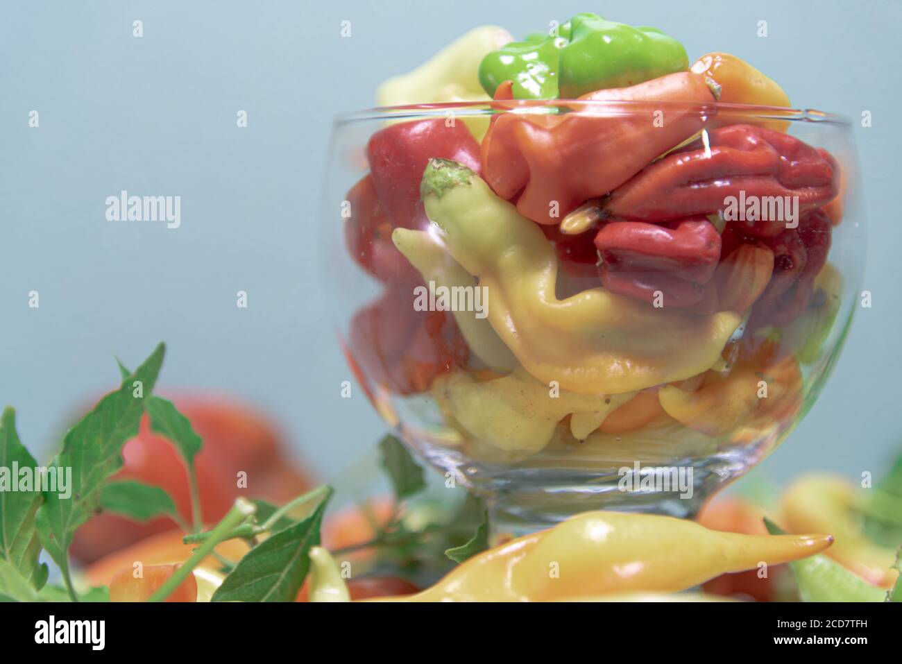 Brazilian peppers. vegetables on the blue background. Condiments and ...