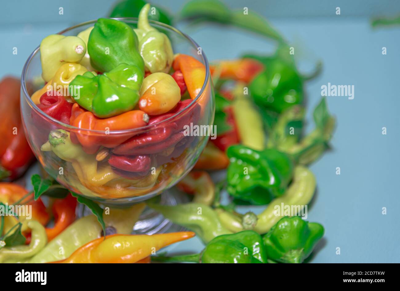 Brazilian peppers. vegetables on the blue background. Condiments and ...