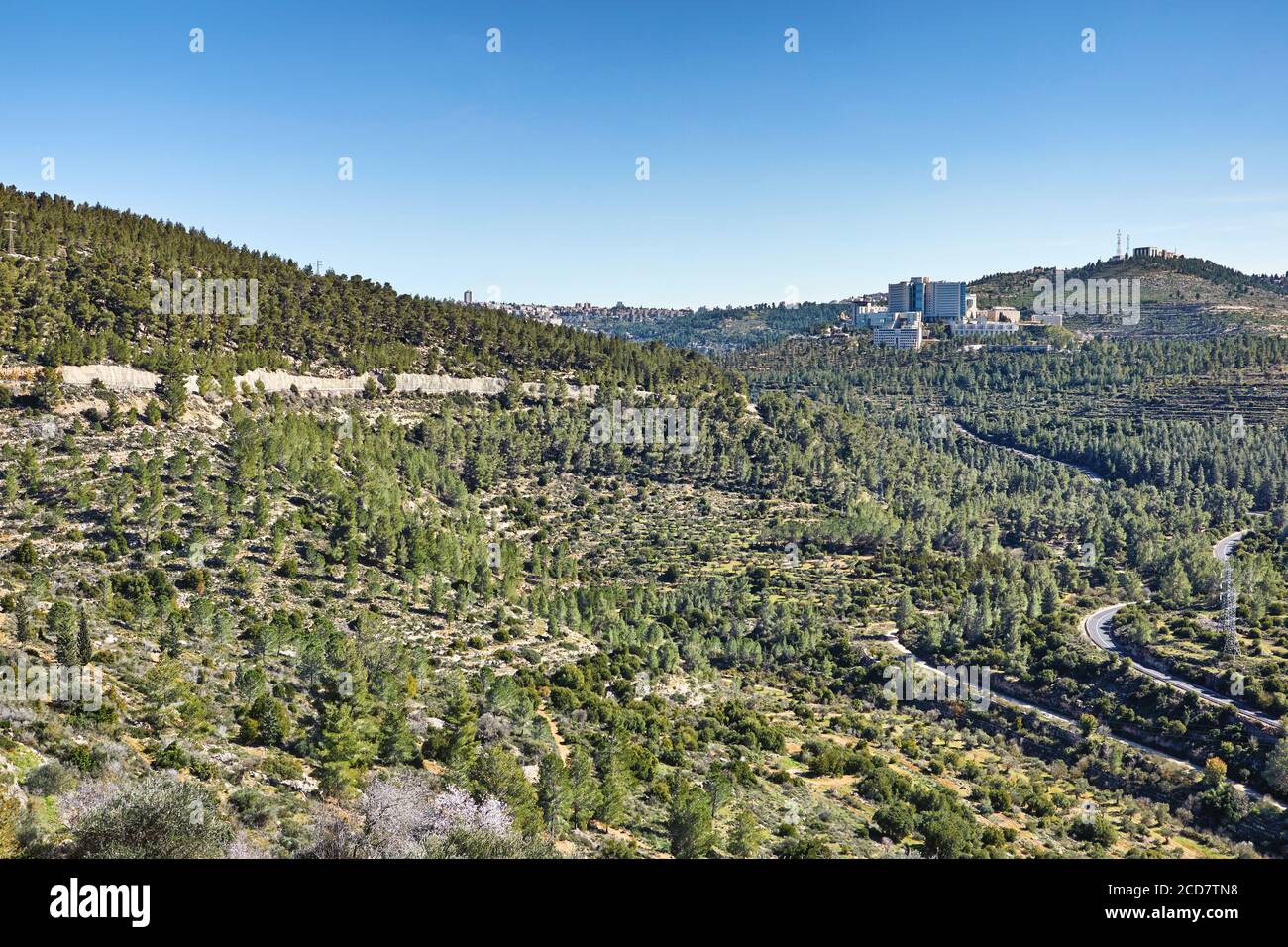 Forest of Sataf west of Jerusalem Israel. A beautiful area of hiking ...