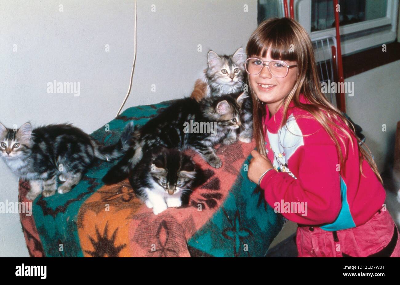 Bildreportage: Linn Westedt spielt mit kleinen Katzen Stock Photo - Alamy