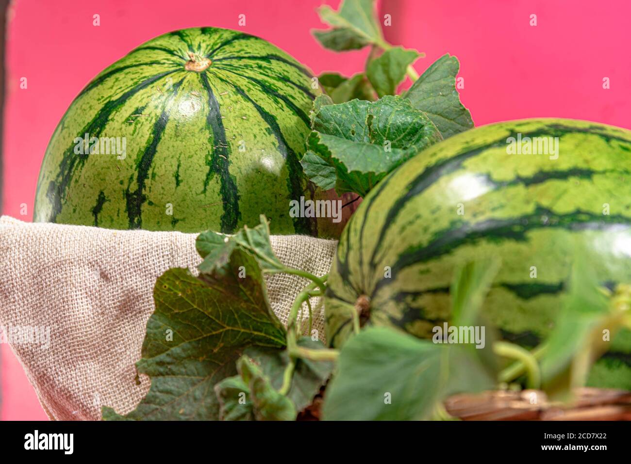 Elongated melon hi-res stock photography and images - Alamy