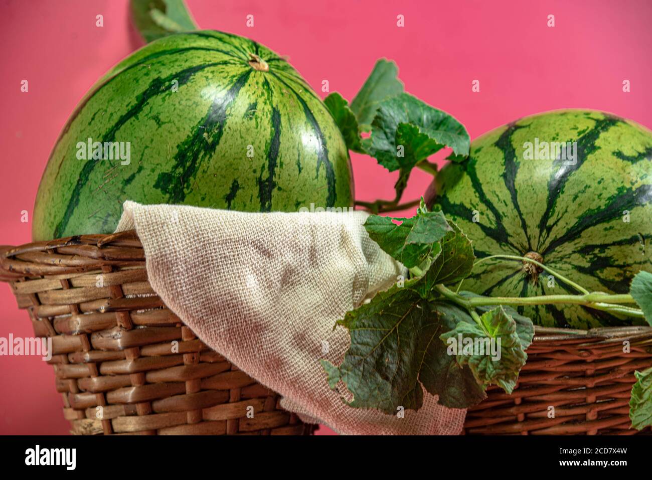 Fresh watermelon. Watermelon is a low fruit, originally from Africa ...