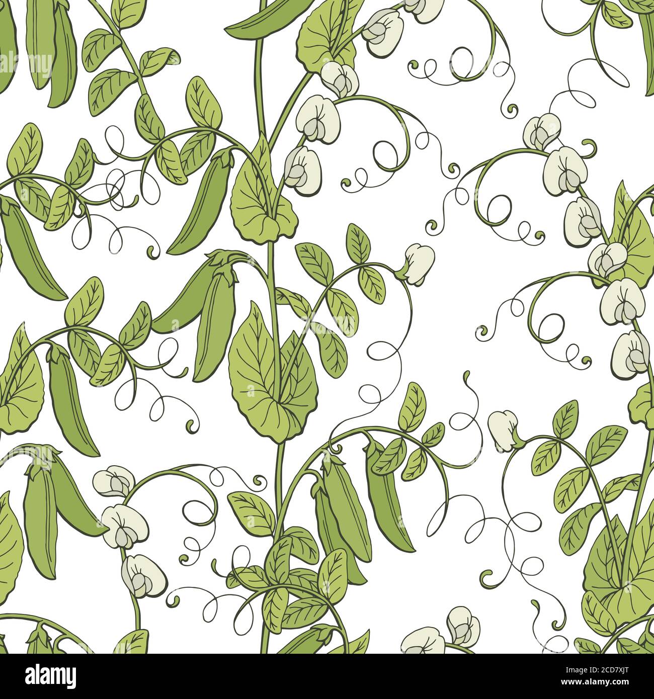 Pea graphic vegetable green color seamless pattern background sketch ...