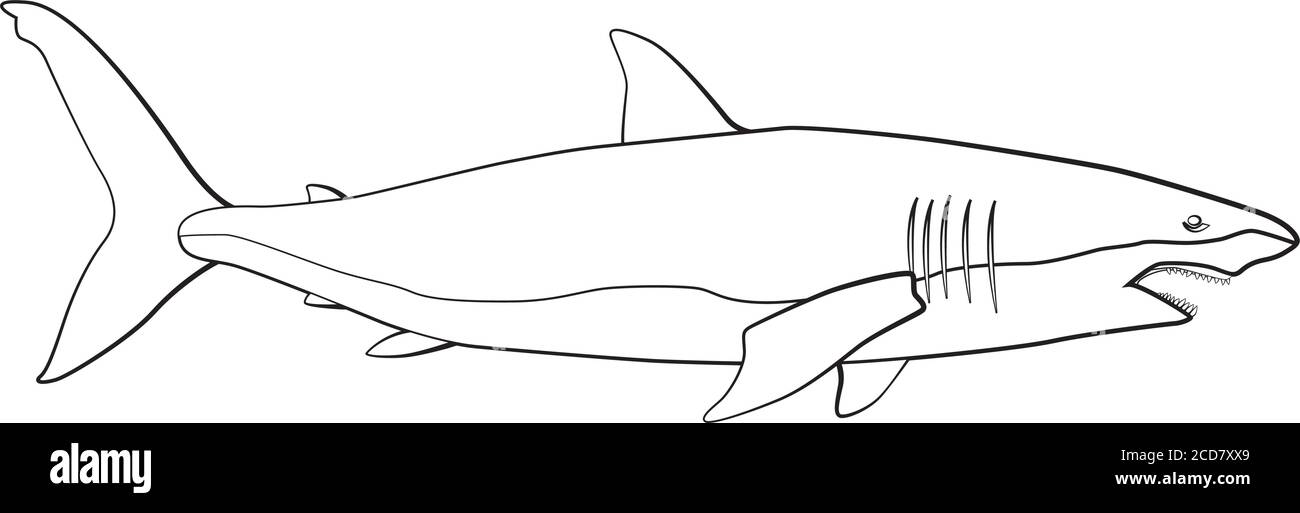 Reef Shark Stock Vector Images - Alamy