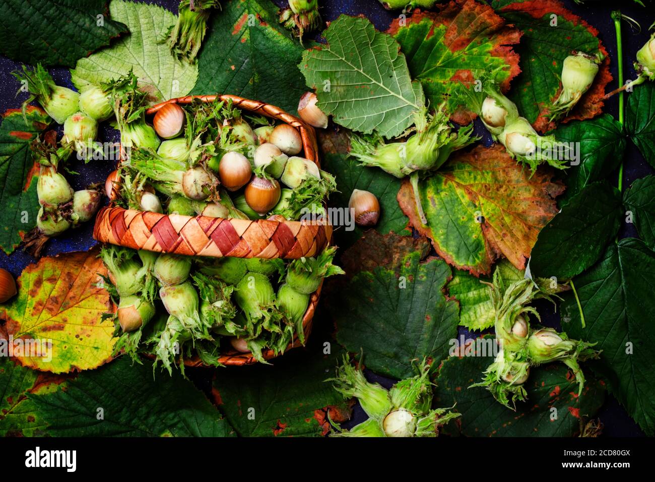 Fall background with hazelnut and filbert leaves, top view Stock Photo ...